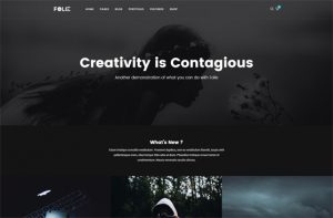 Folie – The WordPress Website Builder