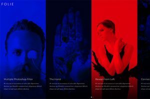 Folie – The WordPress Website Builder