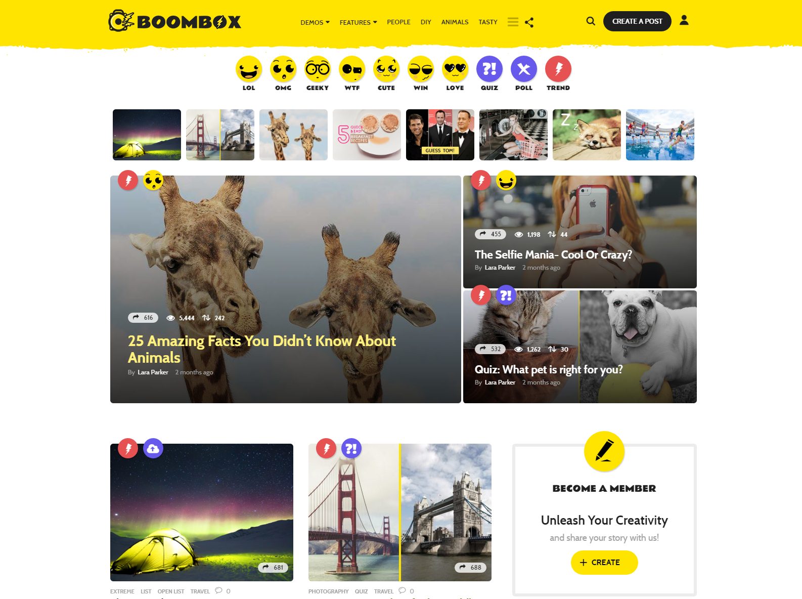 15+ Best Boxed Layout WordPress Themes 2025 - Codeless