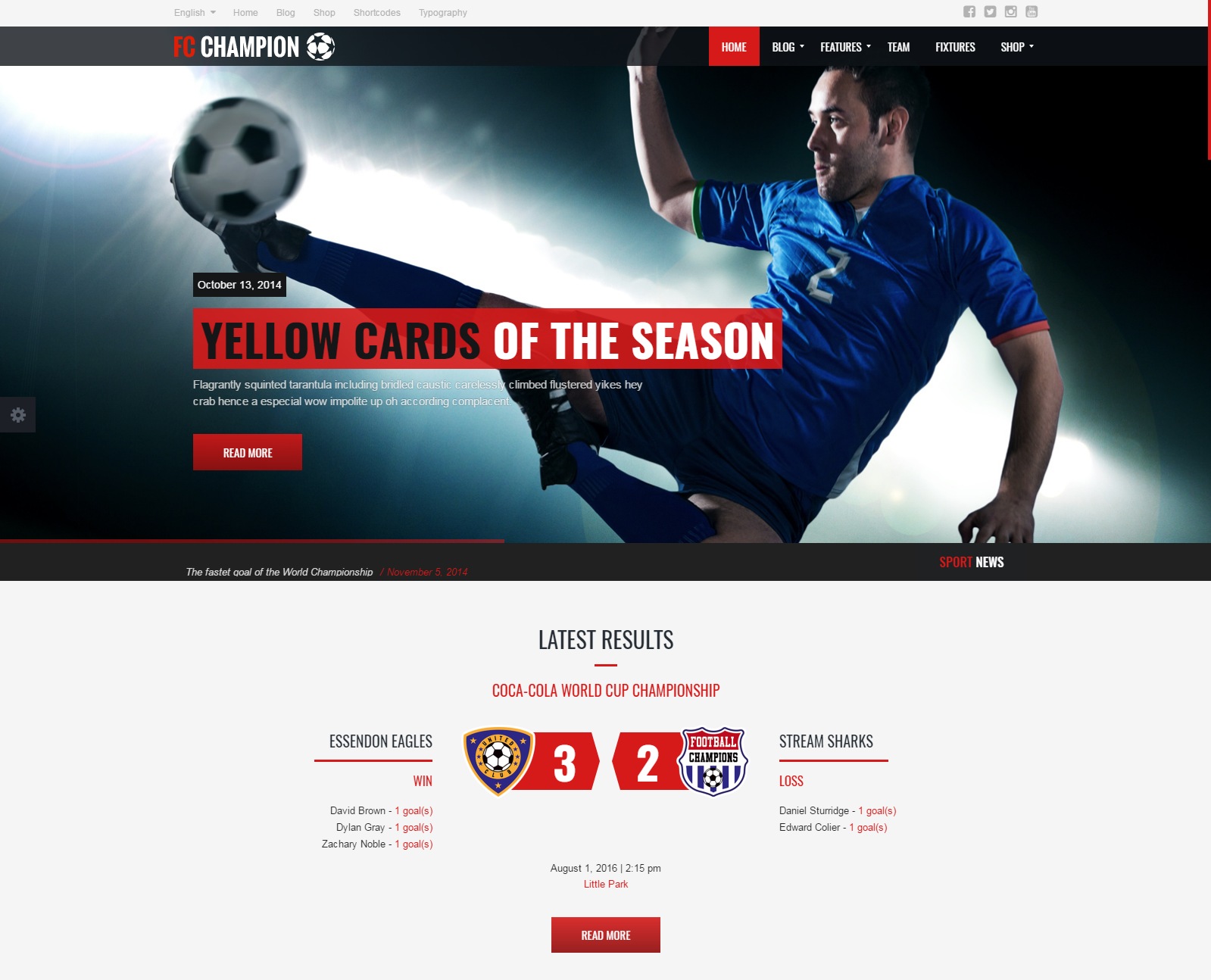 15+ Best Football / Soccer WordPress Themes 2025