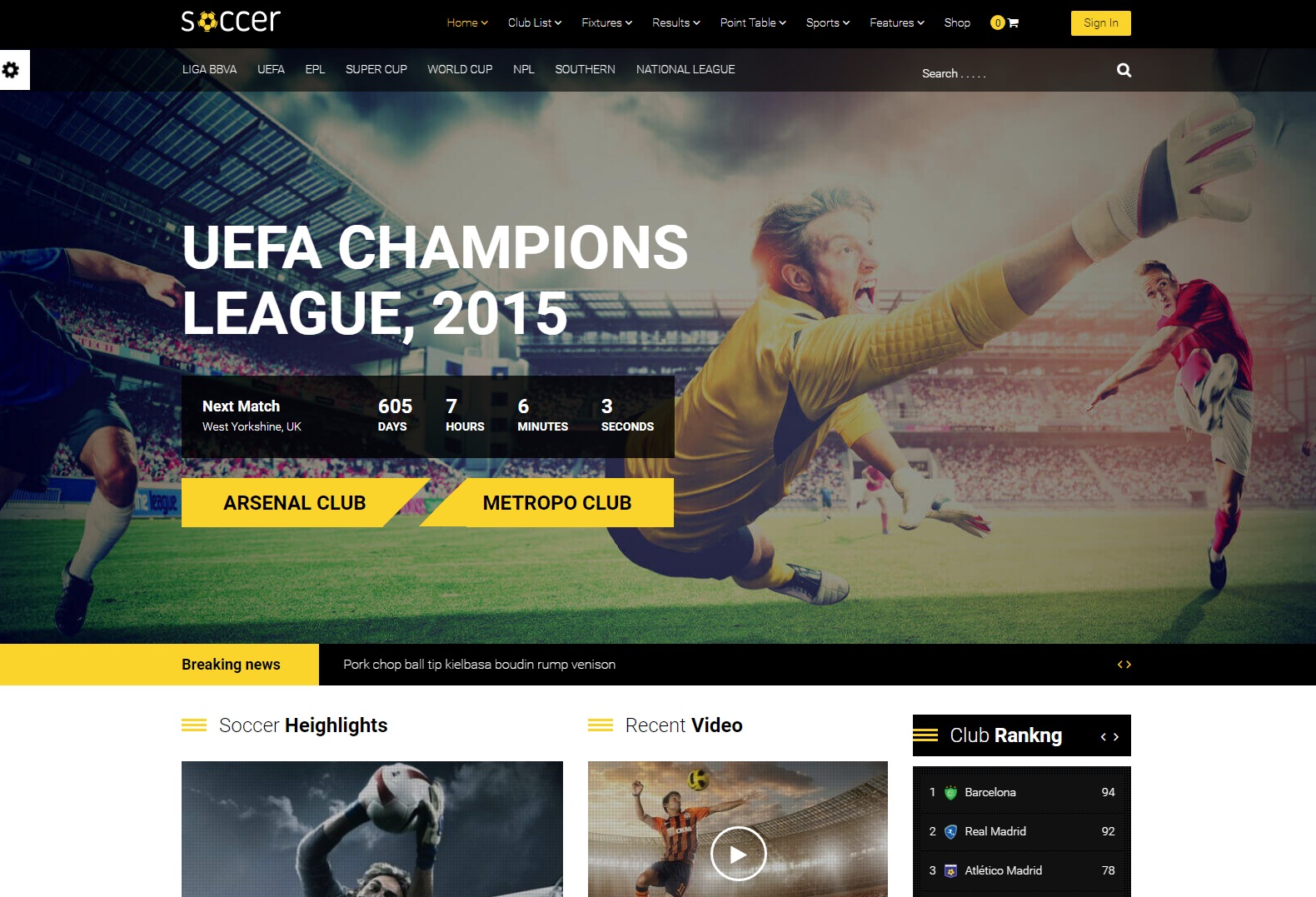 15+ Best Football / Soccer WordPress Themes 2025