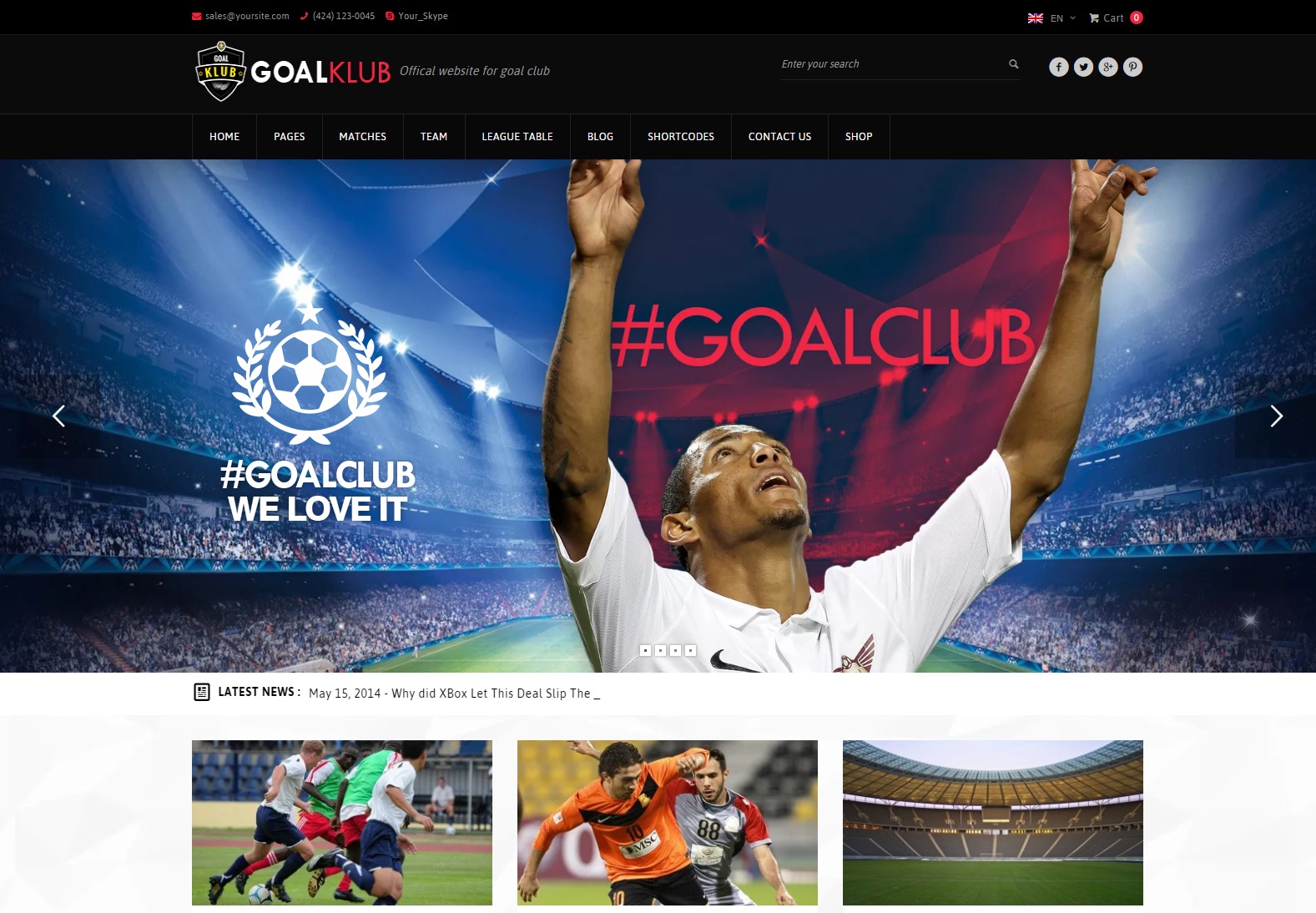 15+ Best Football / Soccer WordPress Themes 2025