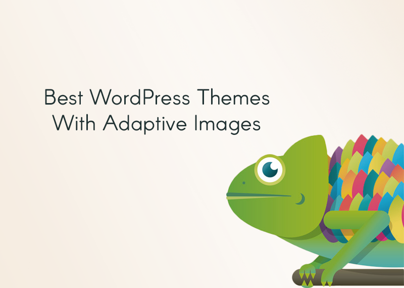 10 + WordPress themes with Adaptive Images - Codeless