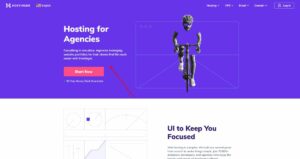 Hostinger Reseller Review - Is It The Best for Agencies? - Codeless