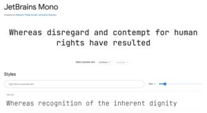 9 Best Fonts for Coders (Ranked) 2024 - Codeless