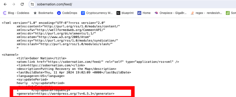 How to Check WordPress Version Without Logging In